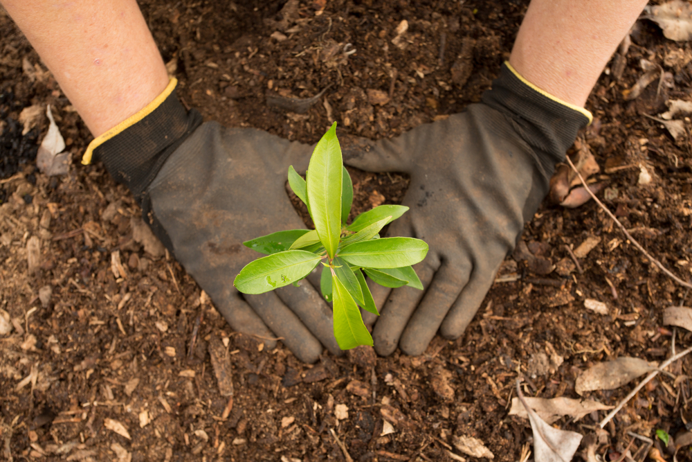 How To Grow A Multimillion Dollar Law Practice